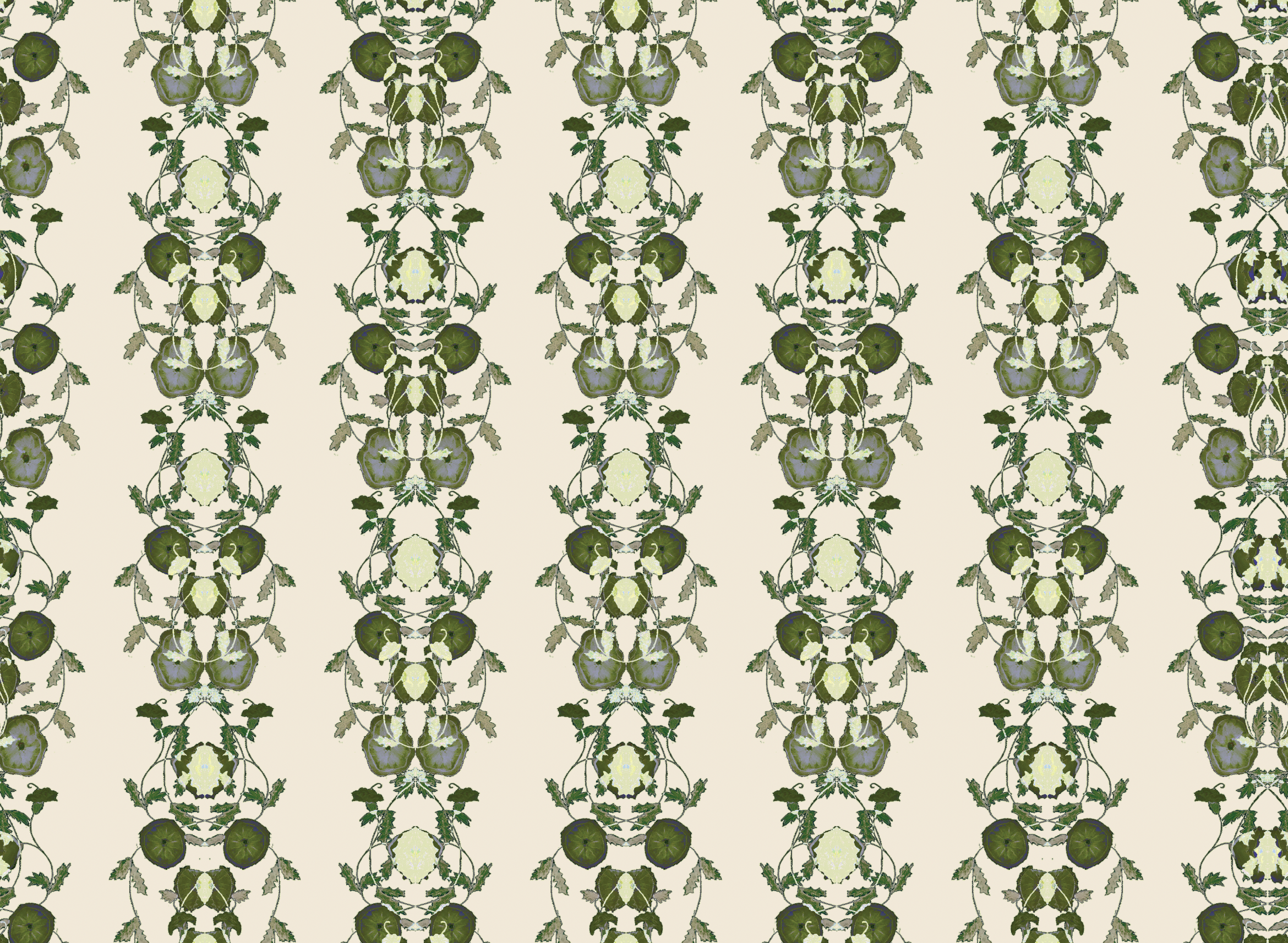 Frank Seaweed – Delacova